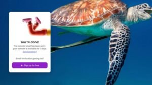 如何使用WeTransfer：给客户发送大文件的简单步骤 - 外贸数字营销博客ElandSEO